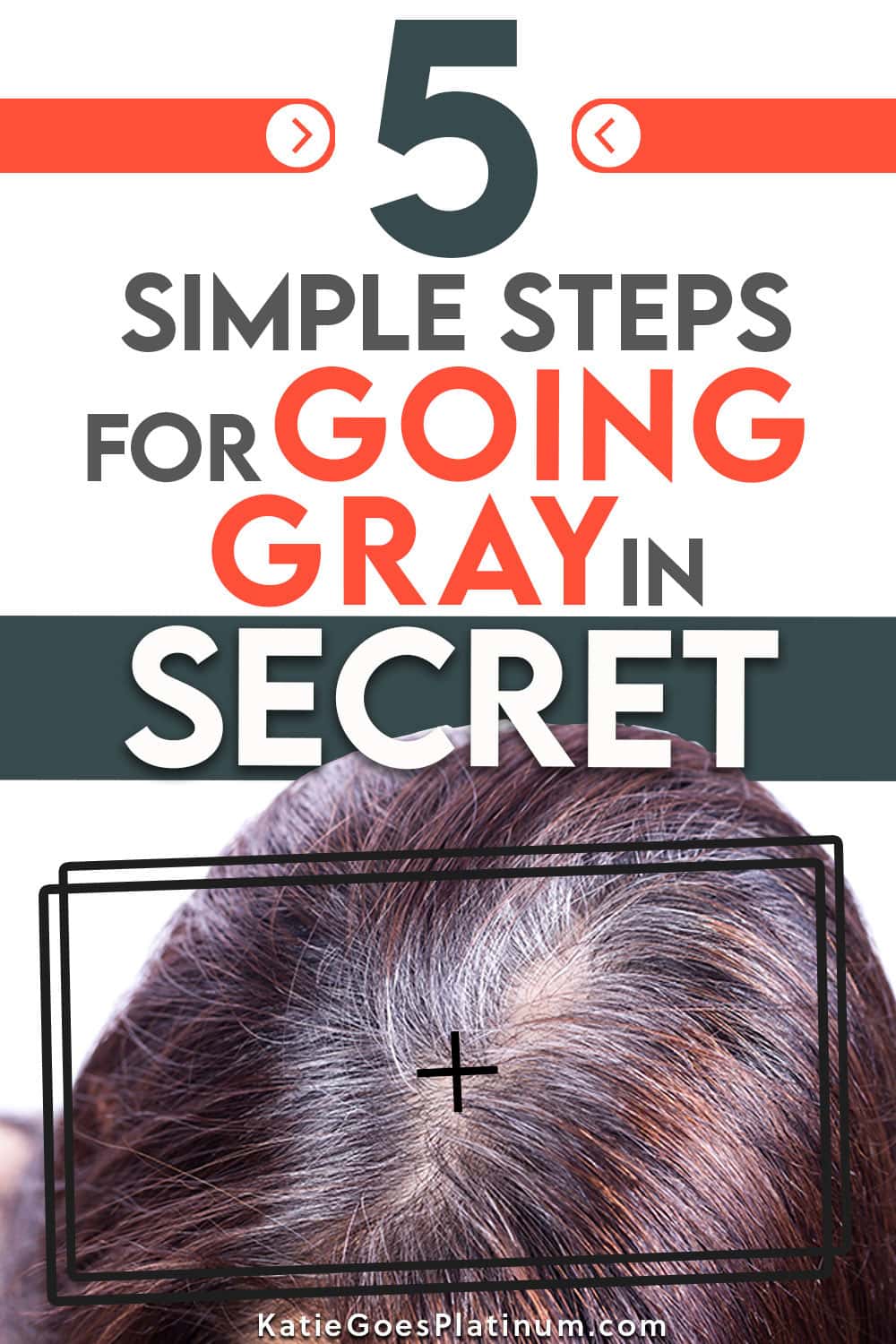 How to Use The Dye Strip Technique to Go Gray